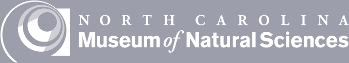 Featured Galleries – Etchings & Engravings & Various other artistic ...